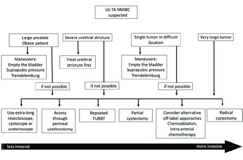 Algorithm For Challenging Lg Nmibc Management Download Scientific