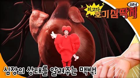 최고다 호기심딱지 시즌 4 심장의 상태를 알려주는 맥박 Youtube