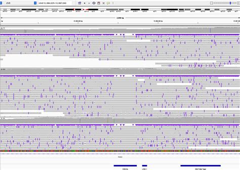 Non Random Distribution Of Errors From Bonito Data Issue Nanoporetech Bonito GitHub