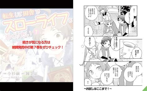 転生して田舎でスローライフをおくりたい7 このマンガがすごい Comics 錬金王 小杉 繭 阿倍野 ちゃこ 本 通販