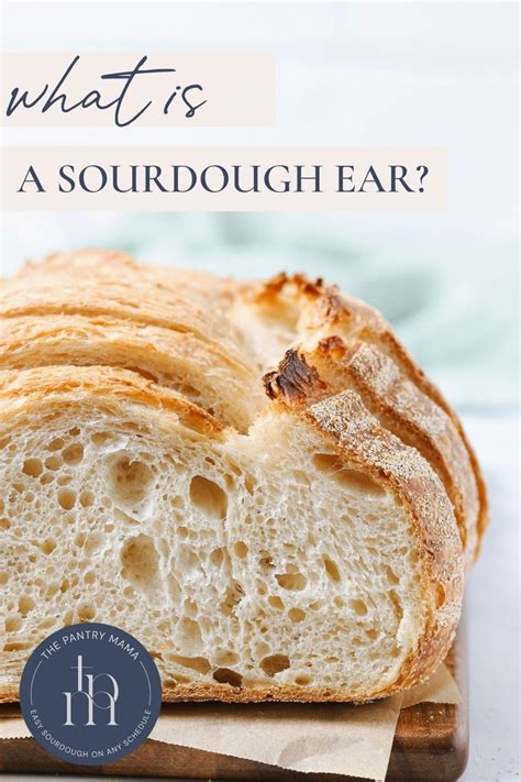 The Sourdough Ear A Guide To Nailing The Ear Every Time The Pantry Mama