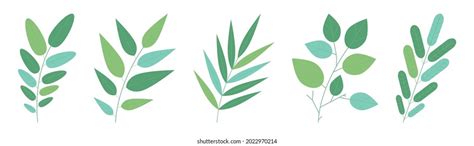 Set Different Leaves Vector Illustration Flat Stock Vector Royalty