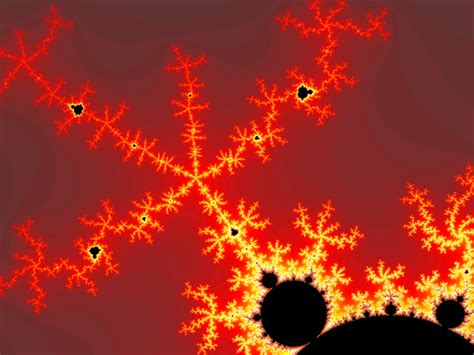 Mandelbrot Set TomRoelandts