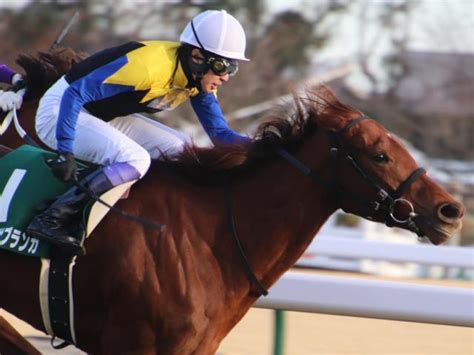 【クイーンs】ルメール騎手が2年ぶり3勝目へ ルビーカサブランカで参戦 競馬ニュース Netkeiba