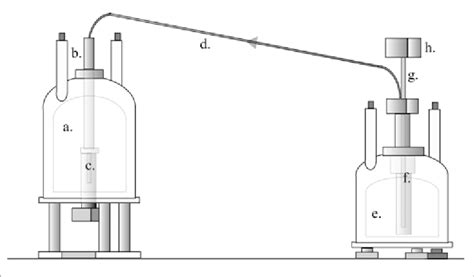 Dissolution Dnp Setup A Nmr Cryomagnet 7 05 T B Polarized