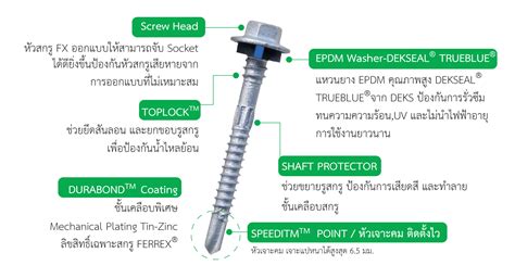 Ferrex Ampelite World Co Ltd