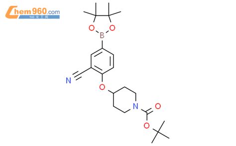 1292317 57 7 Tert Butyl 4 2 Cyano 4 4 4 5 5 Tetramethyl 1 3 2