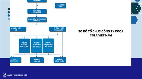 Sơ đồ Tổ Chức Công Ty Coca Cola Việt Nam