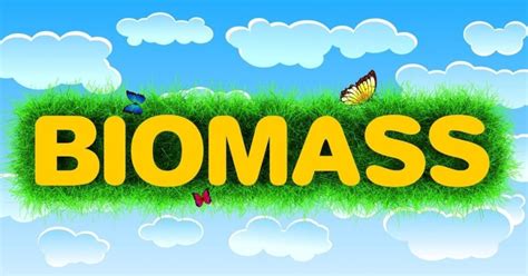 Biomass Energy Defenition Benefits And Working