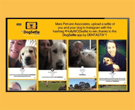 Taggbox Widgets For Website Grow Trust Engagement And Conversions