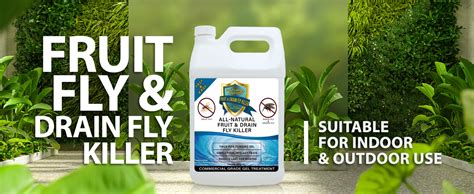 Fruit Fly And Drain Fly Killer Simple Commercial Drain Gel
