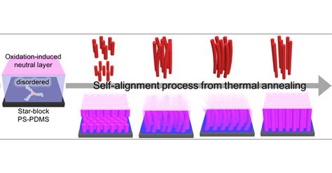 Self Alignment Of Cylinder Forming Silicon Containing Block Copolymer Films Macromolecules
