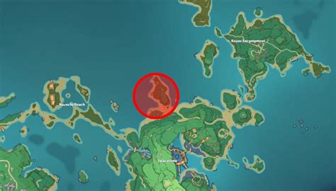 Genshin Impact Mysterious Conch Where To Find Daily Common Chests Guide