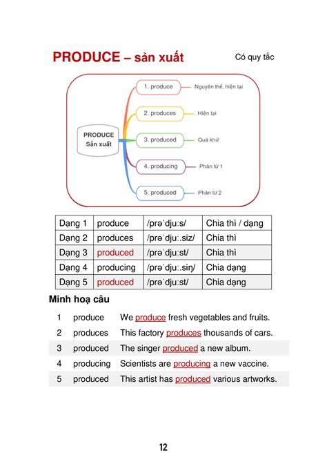 Procedure Là Gì Định Nghĩa Cách Sử Dụng và Các Cụm Từ Thông Dụng
