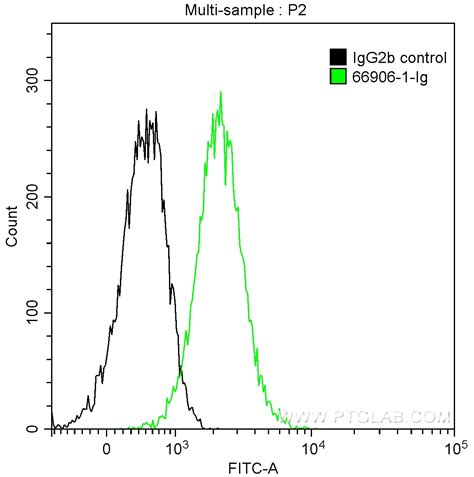 Integrin Alpha 6 Fusion Protein Ag16335 Proteintech