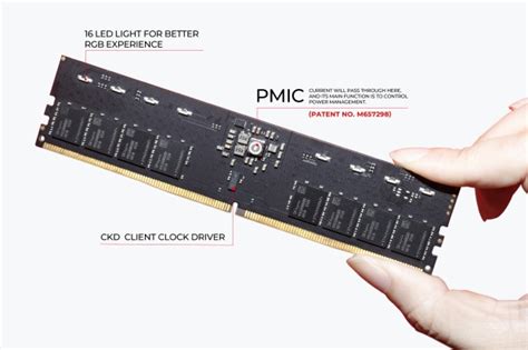 Jusqu à Des Vitesses Ddr5 8800 De Beaux Designs Gamingdeputy France
