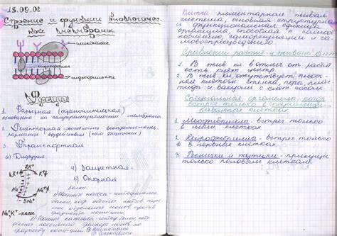 Конспект 9 способов как его писать в 2023 быстро и удобно