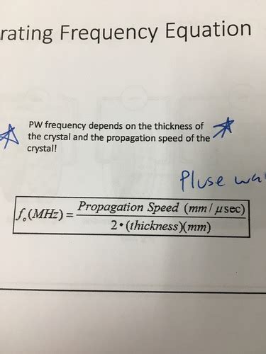 Transducer Anatomy Flashcards Quizlet