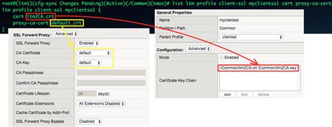 Ssl Forward Proxy Explained Using Wireshark Devcentral
