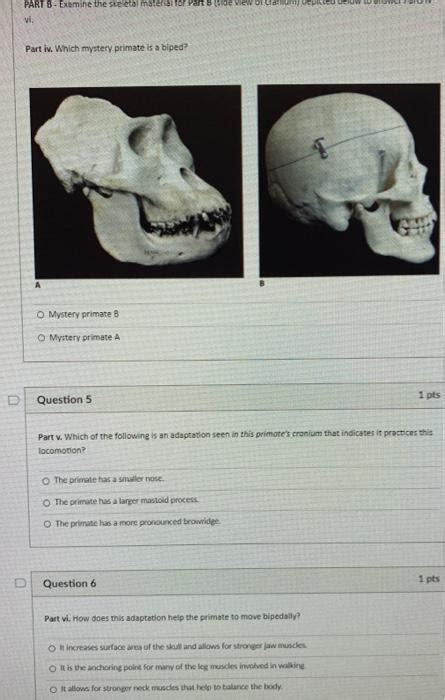 Solved Part I Which Mystery Primate Is A Biped Mystery Chegg