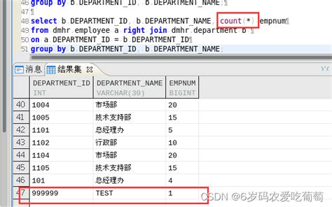 达梦数据库sql学习达梦 Having Csdn博客