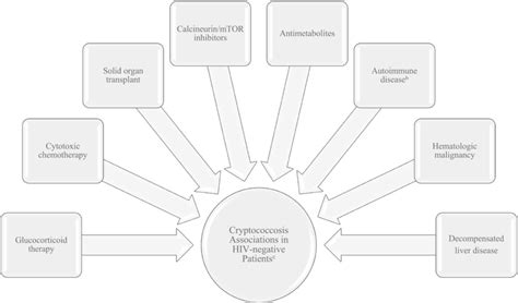 Other Associations Of Cryptococcosis In Hiv‐negative Patients A A