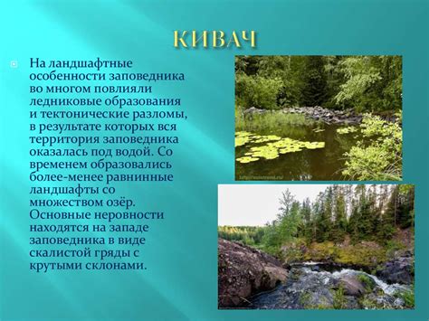 Заповедник Кивач презентация онлайн