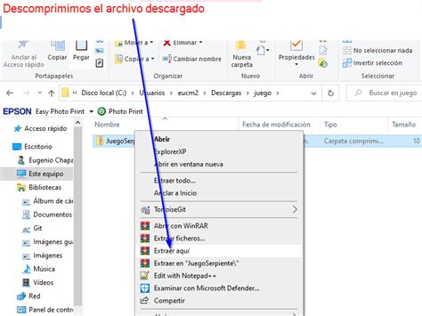 Programador Novato
