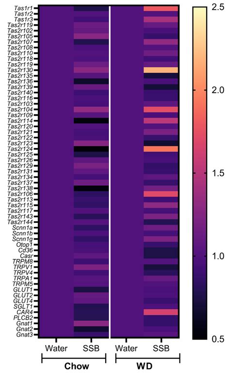 Transcriptome Analysis Of 59 Selected Genes Associated With Oral Download Scientific Diagram