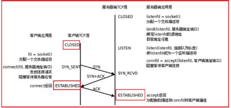【面试八股】超超超详解tcp协议！tcp协议面试 Csdn博客
