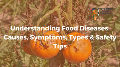 Understanding Food Diseases Causes Symptoms Types And Safety Tips
