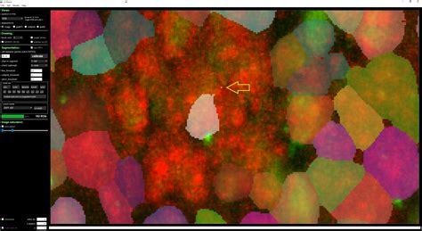 BUG Possible Issue With Discontinuous Masks Issue MouseLand Cellpose GitHub
