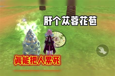 创造与魔法 星川解说：创造与魔法肝个苁蓉花苞，真能把人累死