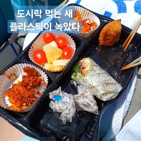 대프리카 대구더워 플라스틱녹을정도 너무더워 Youtube