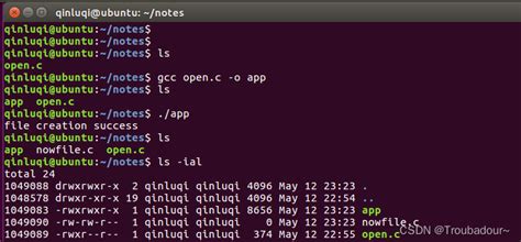 嵌入式linux之文件io的使用 linux使用read读取io口状态 csdn博客