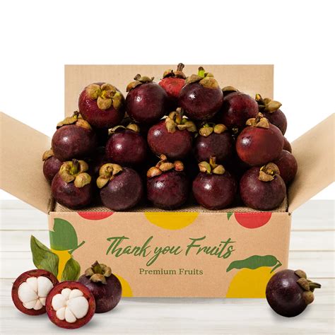 홈 제품 피드백