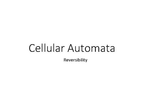 Cellular Automata Reversibility Sources Material In This Lecture