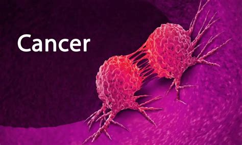 Can Cancer Spread From One Person To Another