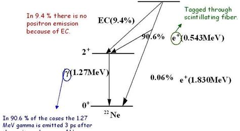 Positron Dynamics Near Term Work To Proving Out Antimatter Catalyzed Deuterium Fusion Propulsion