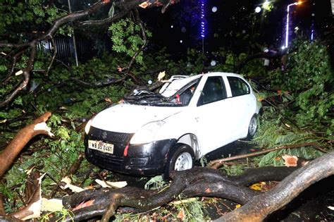 Kolkata A Tree Uprooted And Fell On A Car Following Heavy Rain After