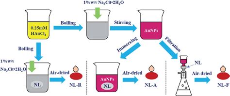 Preparation Of Several Sers Substrates Download Scientific Diagram