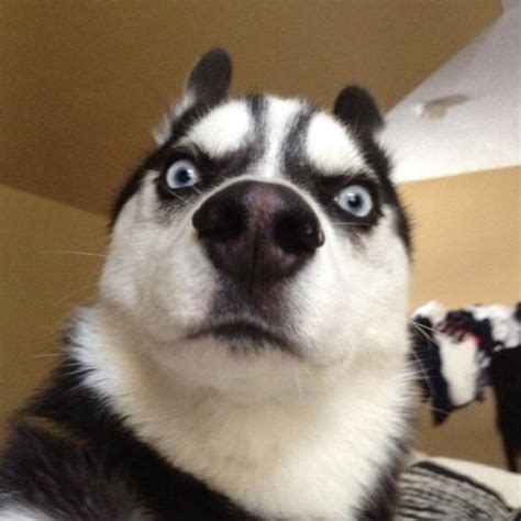 How To Fix Error Forrtl Severe 157 Program Exception Access