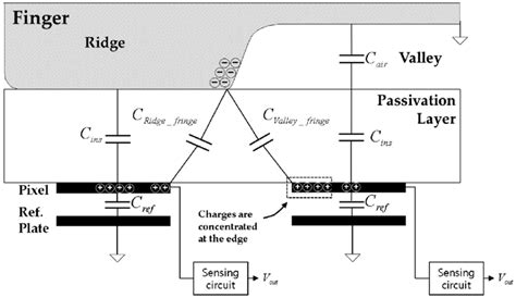 Capacitive Fingerprint Sensor Download Scientific Diagram