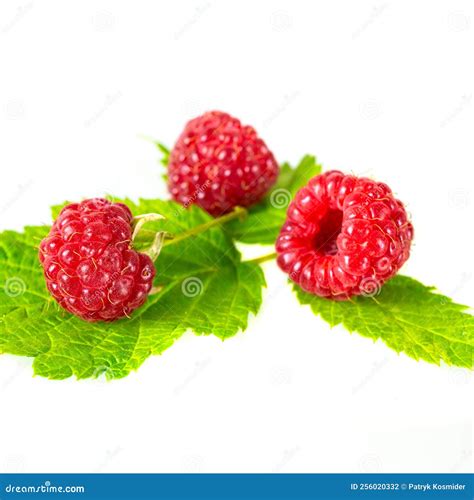 Raspberries With Leaves Isolated On A White Background Stock Photo