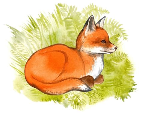 Premium Photo Watercolor Illustration Of Fox Cub On Forest Background