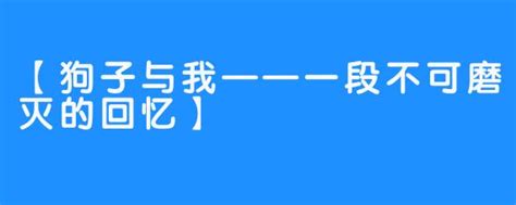 狗子与我一段不可磨灭的回忆 搜啥网