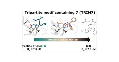 A C Degron Structure Based Approach For The Development Of Ligands