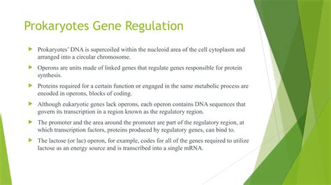 Gene Expression And Regulation Lec 2 Pptx
