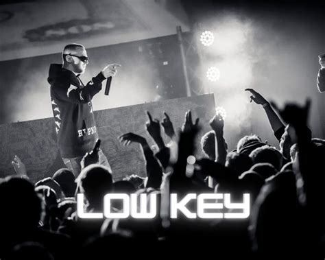 Lowkey Là Gì Khám Phá Ý Nghĩa Và Nguồn Gốc Của Thuật Ngữ Lowkey