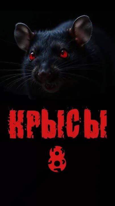 ч 8 Крысы Youtube